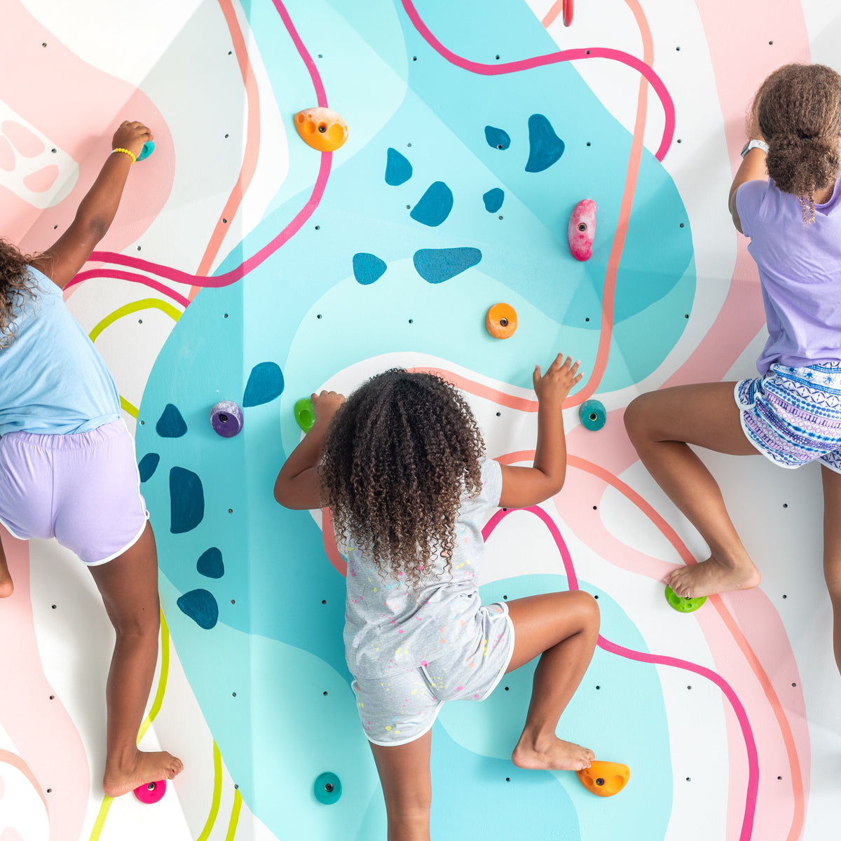 Climbing Panels & Holds – The Groh Shop